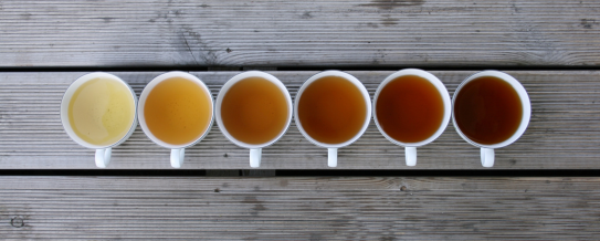 Check this List of Some of the Popular Darjeeling First Flush Teas ...