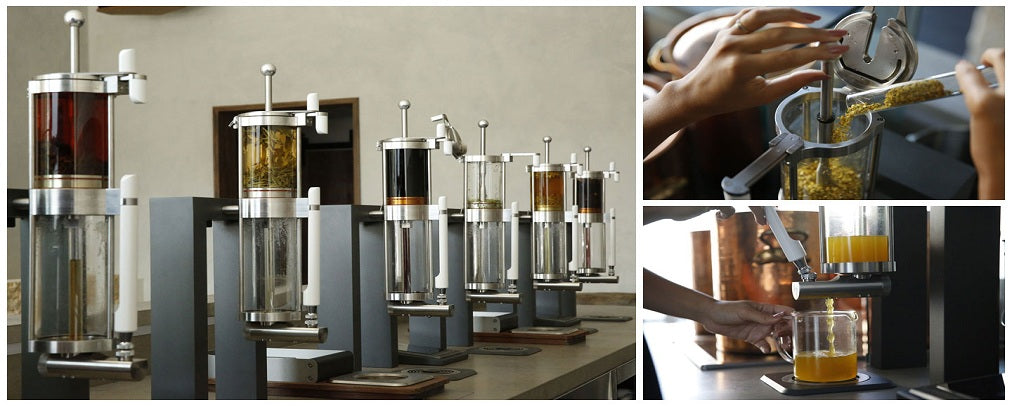 Most Popular Tea Brewing Methods – Jayshree Tea