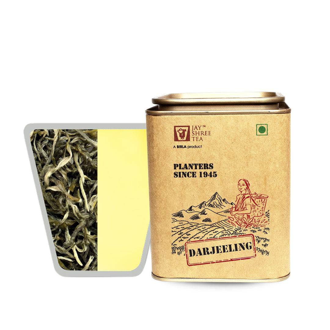Darjeeling Turzum Panned and Steamed Green Tea 2025 – Jayshree Tea